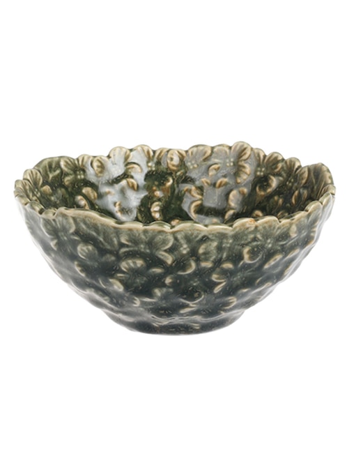 Bowl N Narrative Wild Leaves de porcelana 1